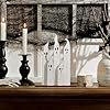 Amazon.com: Halloween Table Decorations Indoor: Farmhouse Halloween ...