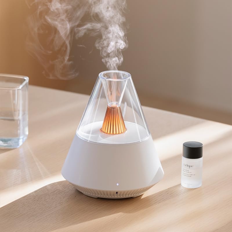 Amazon.com: Preserved Flower Portable Humidifier,270ml Capacity ...