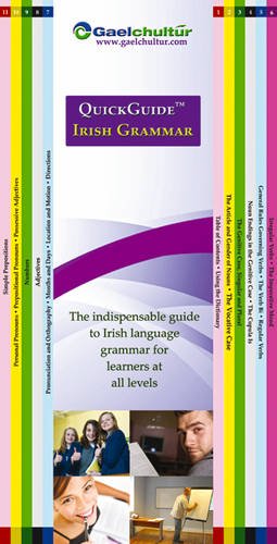 QuickGuide Irish Grammar: The Indispensable Guide to Irish Language ...
