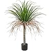 Amazon.com: Artificial Tree 3.6Ft Faux Agave Plant Yucca Tree in Pot ...
