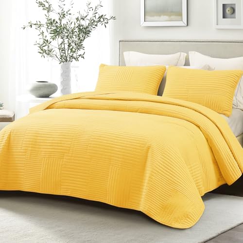 Amazon.com: Exclusivo Mezcla Queen Quilt Bedding Set, Lightweight ...