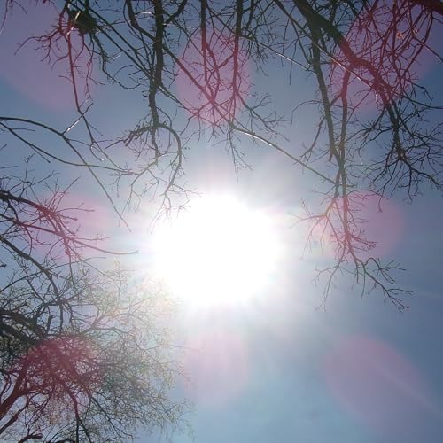 South Carolina Animal Care and Control Association (Scacca) Willdfire ...