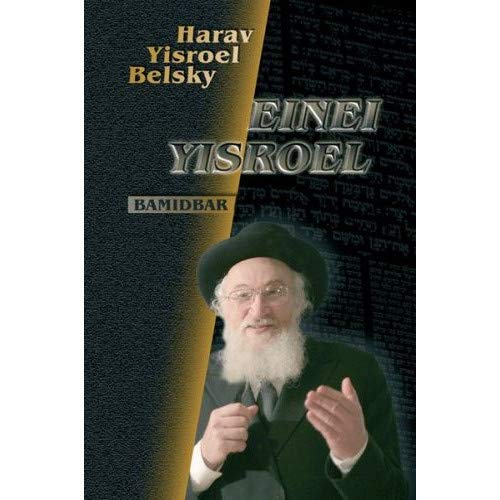Einei Yisroel 4: Rabbi Yisroel Belsky: 9781600917202: Amazon.com: Books