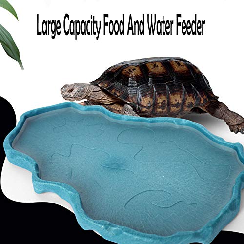 Snapklik.com : Reptile Food And Water Bowl Turtle Habitat Tortoise ...