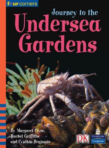 Four Corners: Journey to Undersea Garden (Pack of Six): Amazon.co.uk ...