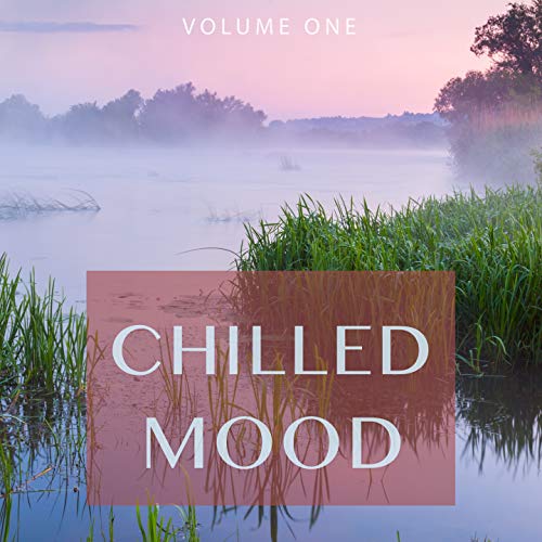 Amazon.com: Chilled Mood, Vol. 1 (Finest Selection Of Electronic Smoth ...