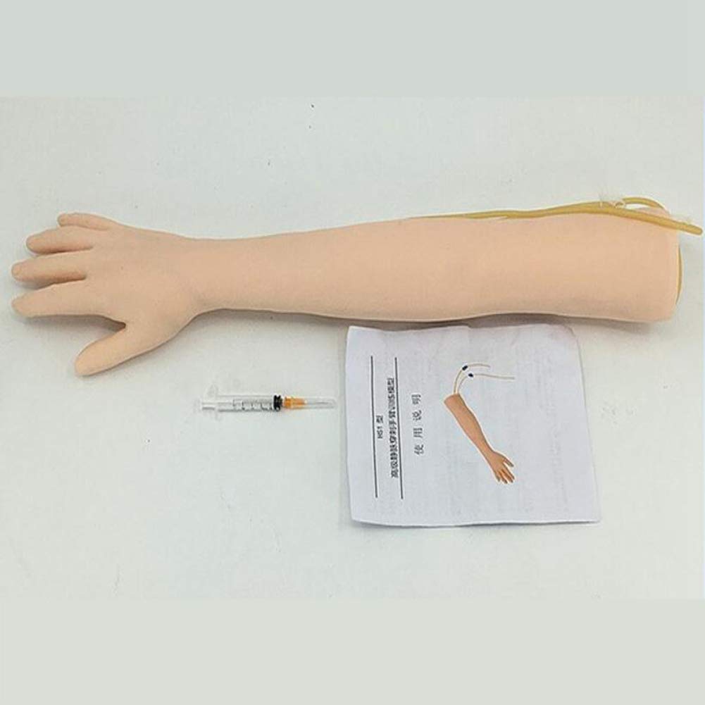 Jl Iv Practice Arm Infusion Model Phlebotomy And Venipuncture Training ...