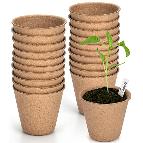 Macetas biodegradables: la opción eco-friendly para tus plantas y el ...