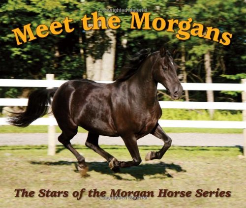 Meet the Morgans: The Stars of the Morgan Horse (Morgan Horse Series ...