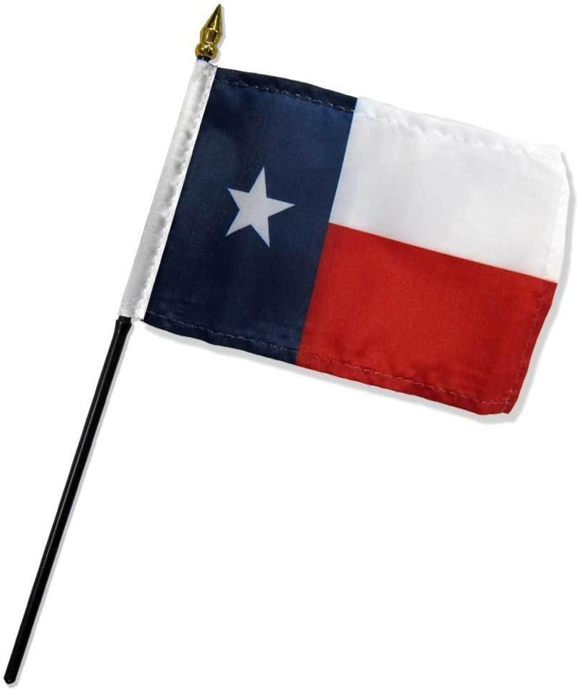 Amazon.com : RFCO Texas 4"x6" Desk Stick Flag (No Base) (1 Flag ...