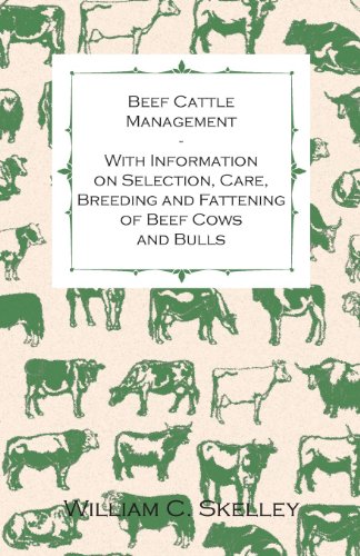 Beef Cattle Management - With Information on Selection, Care, Breeding ...