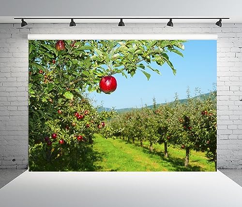 Amazon.com : BELECO 5x3ft Fabric Green Apple Orchard Backdrop Blurry ...