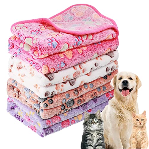 amazon.ae Best Sellers: The best items in Dog Supplies based on Amazon ...