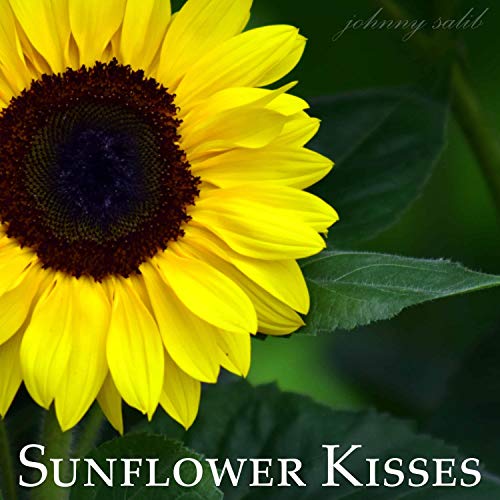 Sunflower Kisses by Johnny Salib on Amazon Music - Amazon.com