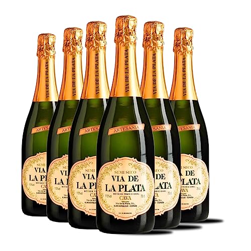 ≫ El mejor cava extremeño: ¡descúbrelo aquí! 2025 - Prueba Final