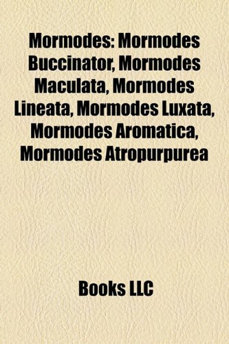 Mormodes: Mormodes Buccinator, Mormodes Maculata, Mormodes Lineata ...