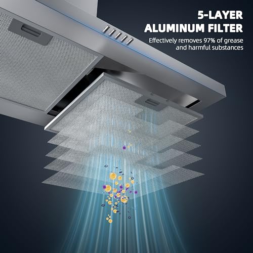 FIREGAS Range Hood 30 Inch, Stainless Steel Wall Mount Kitchen Hood 450 ...