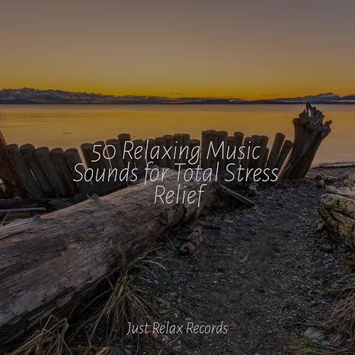 Play 50 Relaxing Music Sounds for Total Stress Relief by Kinderliedjes ...