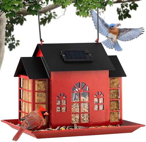 Amazon.com : Putago Bird Feeders for Outdoors, Metal Suet Feeders for ...
