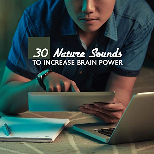 Play 30 Nature Sounds to Increase Brain Power : Music for Studying ...