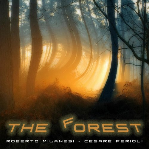 Play The Forest by Roberto Milanesi & Cesare Ferioli on Amazon Music