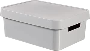 Amazon.com: Curver 04752-099-00 Infinity Plastic Storage Box with Lid ...