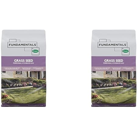 Amazon.com : Fundamentals by Scotts Grass Seed Perennial Ryegrass Mix ...
