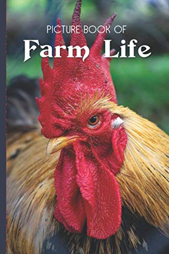Picture Book Of Farm Life: Large Print Book For Seniors with Dementia ...