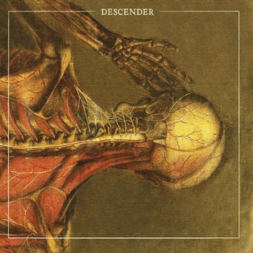 Amazon.com: Descender : Descender: Digital Music