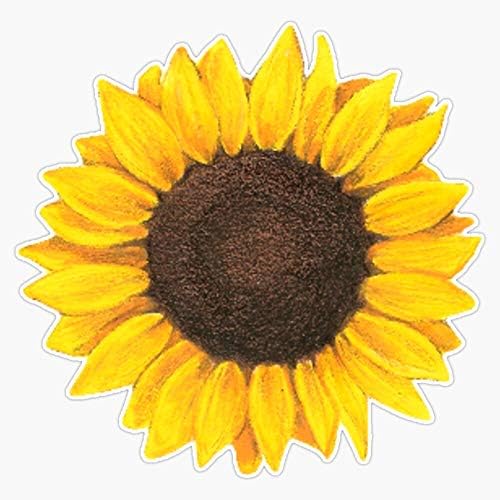 Amazon.com: Sunflower Sticker Decal Vinyl Bumper Sticker Decal ...