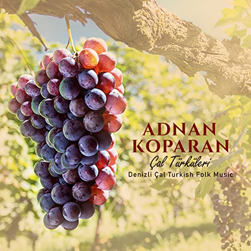 Amazon.co.jp: Çal Türküleri (Denizli Çal Turkish Folk Music) : Adnan ...