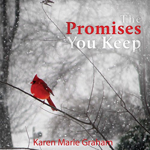 Amazon.com: The Promises You Keep (Audible Audio Edition): Karen Marie ...