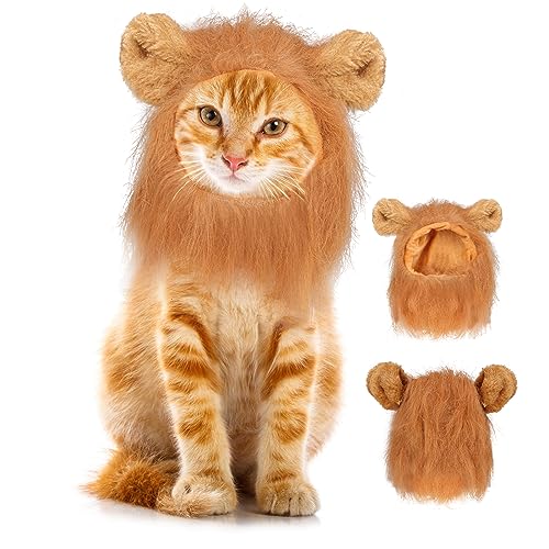 10 purrfectly grumpy Halloween costumes for feline friends: Your guide ...
