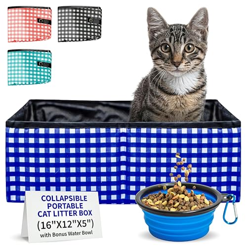 Traveling with Cats in a Car Long Distance (17 Essential Tips)