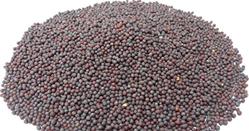 Mustard Seeds | kaduku | sarason | Sasive 250g : Amazon.in: Grocery ...