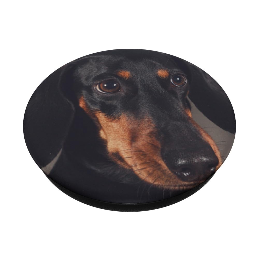 Swappable Phone Grip Dachshund PopSocket - Cute Wiener Dog In Hot Dog ...