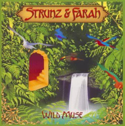 Strunz & Farah, Jorge Strunz, Eliseo Borrero, Charlie Bisharat, Freddie ...