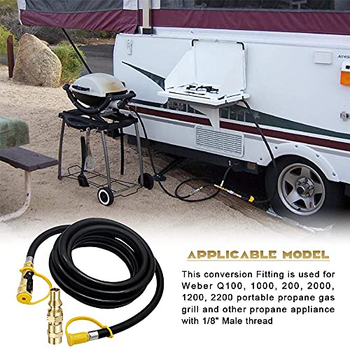 MCAMPAS 12FT Propane Hose 1/4" Quick Disconnect Adapter Kit with 1/8 ...