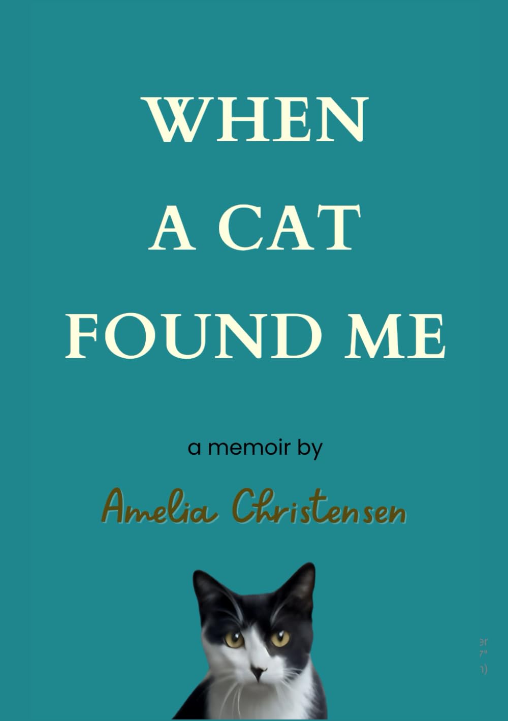 Amazon.co.jp: When a Cat Found Me : Christensen, Amelia: Foreign ...