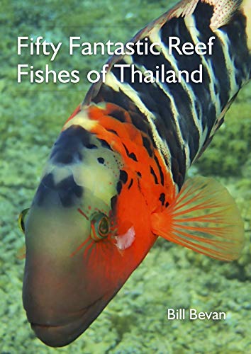 Fifty Fantastic Reef Fishes of Thailand , Bevan, Bill - Amazon.com