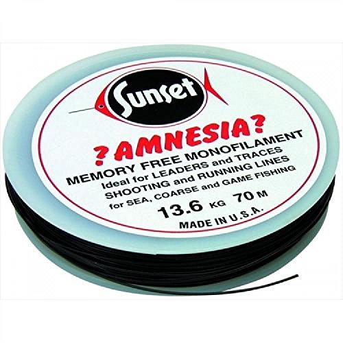 Amnesia Schnur – Die 15 besten Produkte im Vergleich - Die besten Angel ...