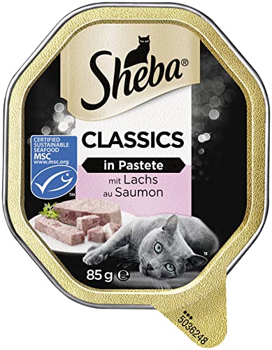 Sheba Mousse – Die 16 besten Produkte im Vergleich & Angebote ...