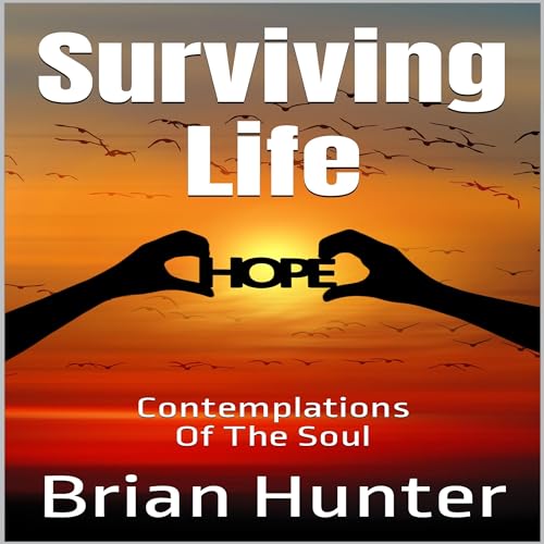 Amazon.com: Surviving Life: Contemplations of the Soul (Audible Audio ...