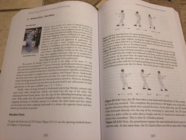 Hsing-I Chuan: The Practice of Heart and Mind Boxing: McNeil, Master ...