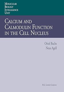 Calmodulin And Muscle: What's The Connection? | CyVigor