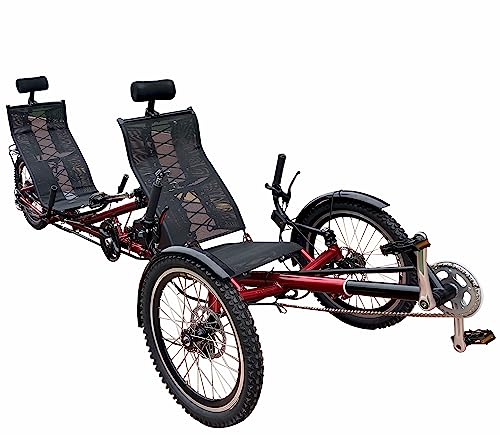 Electric Assisted Pedal Tandem Cycle | Dual Person Bike Bicycle ...