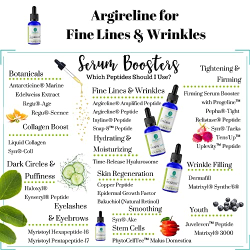 Skin Perfection Argireline Peptide Solution Acetyl Hexapeptide 8 Diy ...