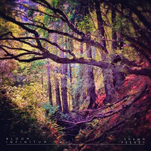Bloom Infinitum de Shawn Feeney no Amazon Music Unlimited