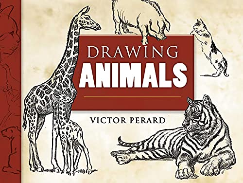 Drawing Animals (Dover Art Instruction) eBook : Perard, Victor: Amazon ...