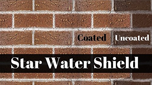 Star Water Shield (1 Ltr), a NanoTechnology based water repellent is a ...